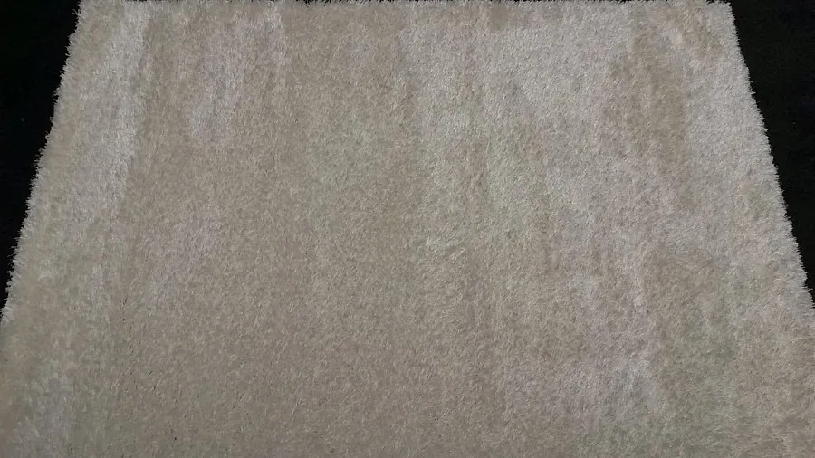 Kusový koberec SHAGGY OVO bílý 120x170