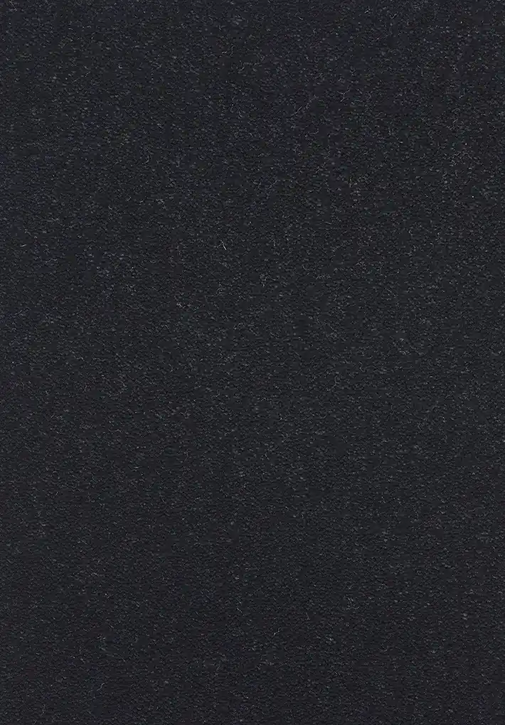 Lano - koberce a trávy Neušpinitelný kusový koberec Nano Smart 800 černý -  60x100 cm | BIANO