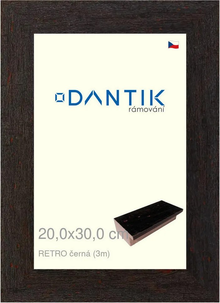 DANTIK rámeček 20x30 | RETRO černá (Sklo Čiré)