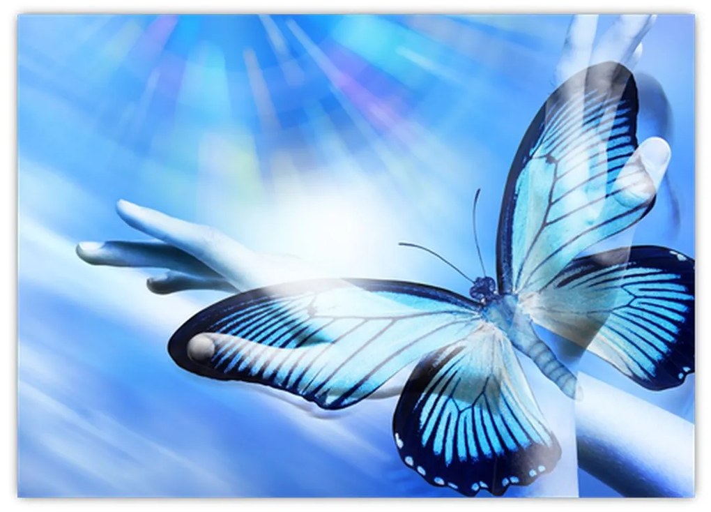 Skleněný obraz - Motýl, symbol naděje (70x50 cm)