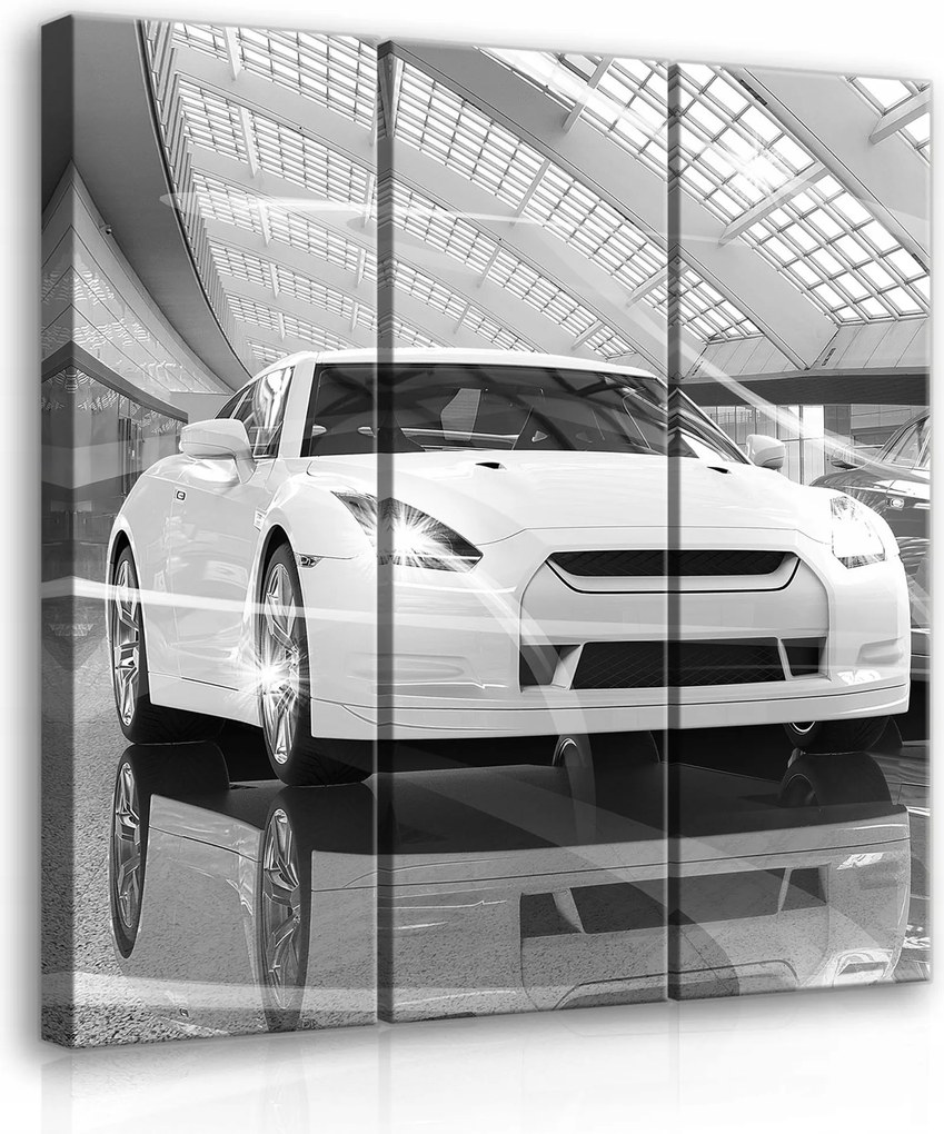 Obraz 90x100 Bílý sportovní vůz Nissan Gt-r monochromatický rychlost