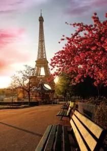 Paříž - Eiffelova věž na jaře - 20 x 25 cm