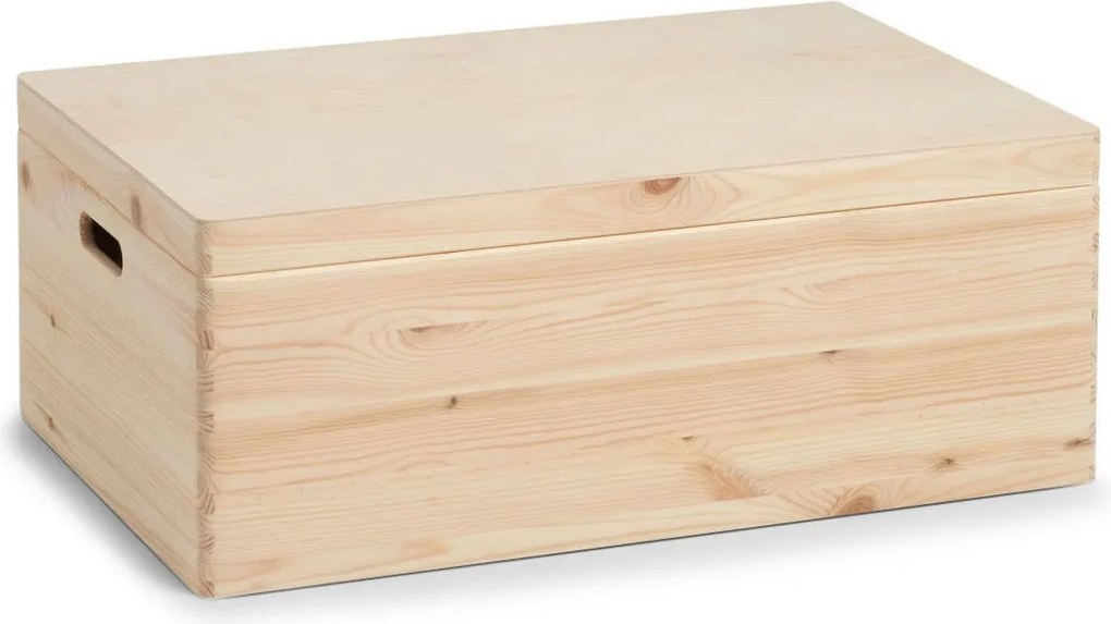 Skladovací kontejner s víkem, organizátor 58 l, ZELLER