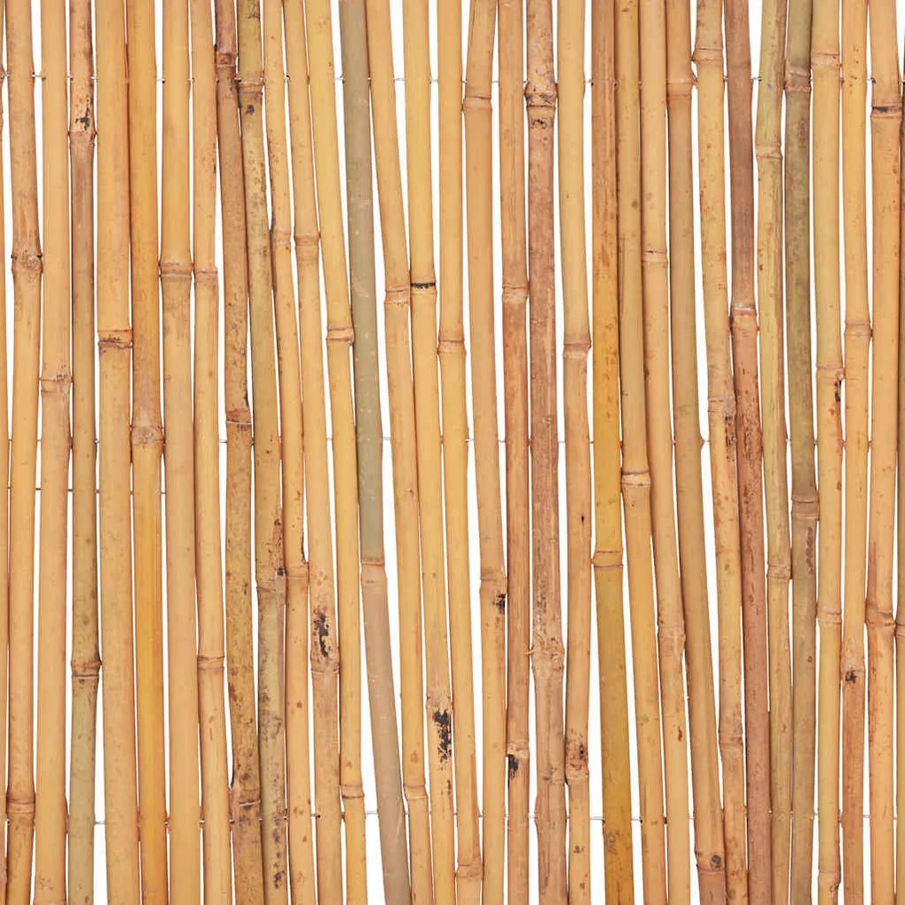 Bambusový plot 500 x 50 cm 142682