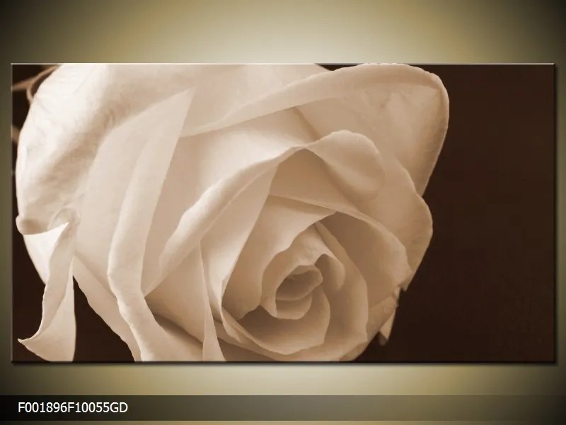 Krásný obraz růže (), 40 dalších rozměrů