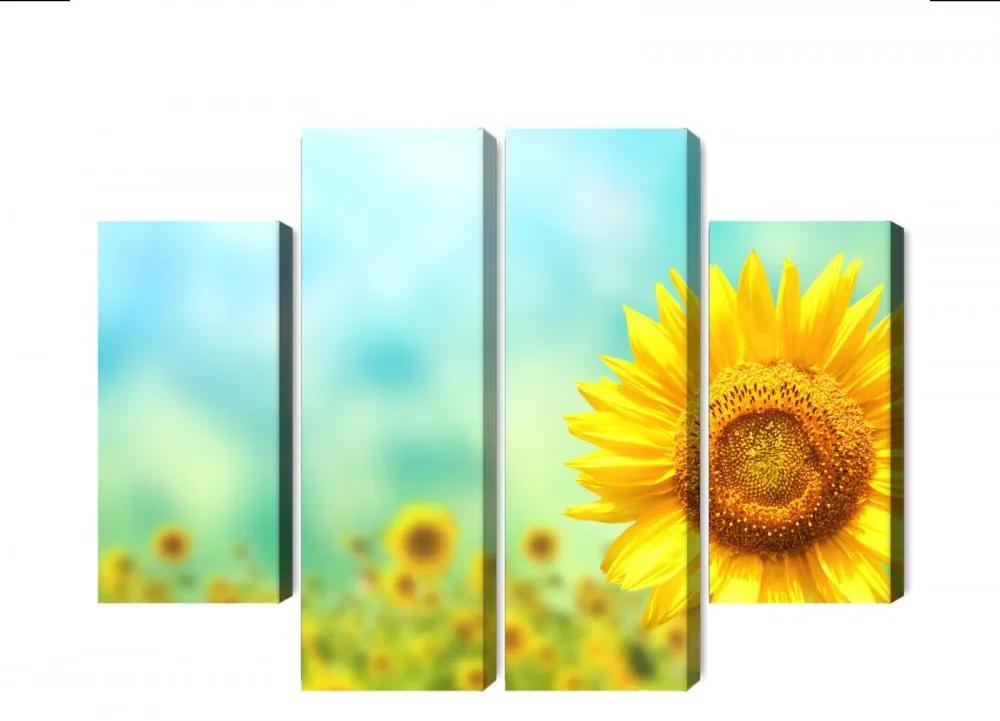 Vícedílný obraz Dekorativní 3D Květy Slunečnice Nedostatek Nedostatek Přírodní plátno 160x120