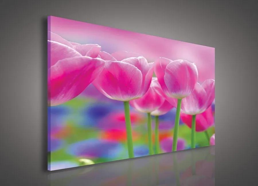 Postershop Obraz na plátně: Fialové tulipány - 75x100 cm