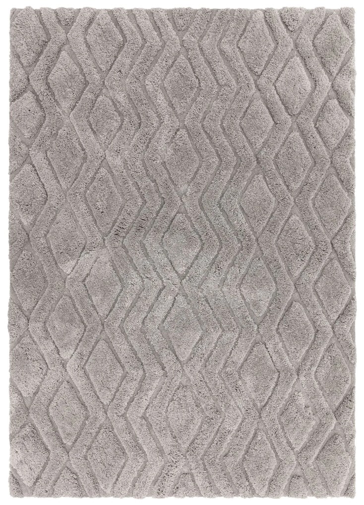 Tribeca Design Kusový koberec Artas Silver Rozměry: 160x230 cm