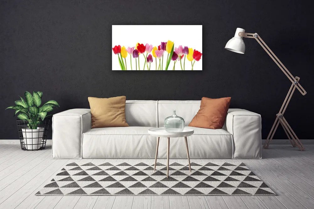 Obraz na plátně Tulipány Květiny Rostlina 125x50 cm