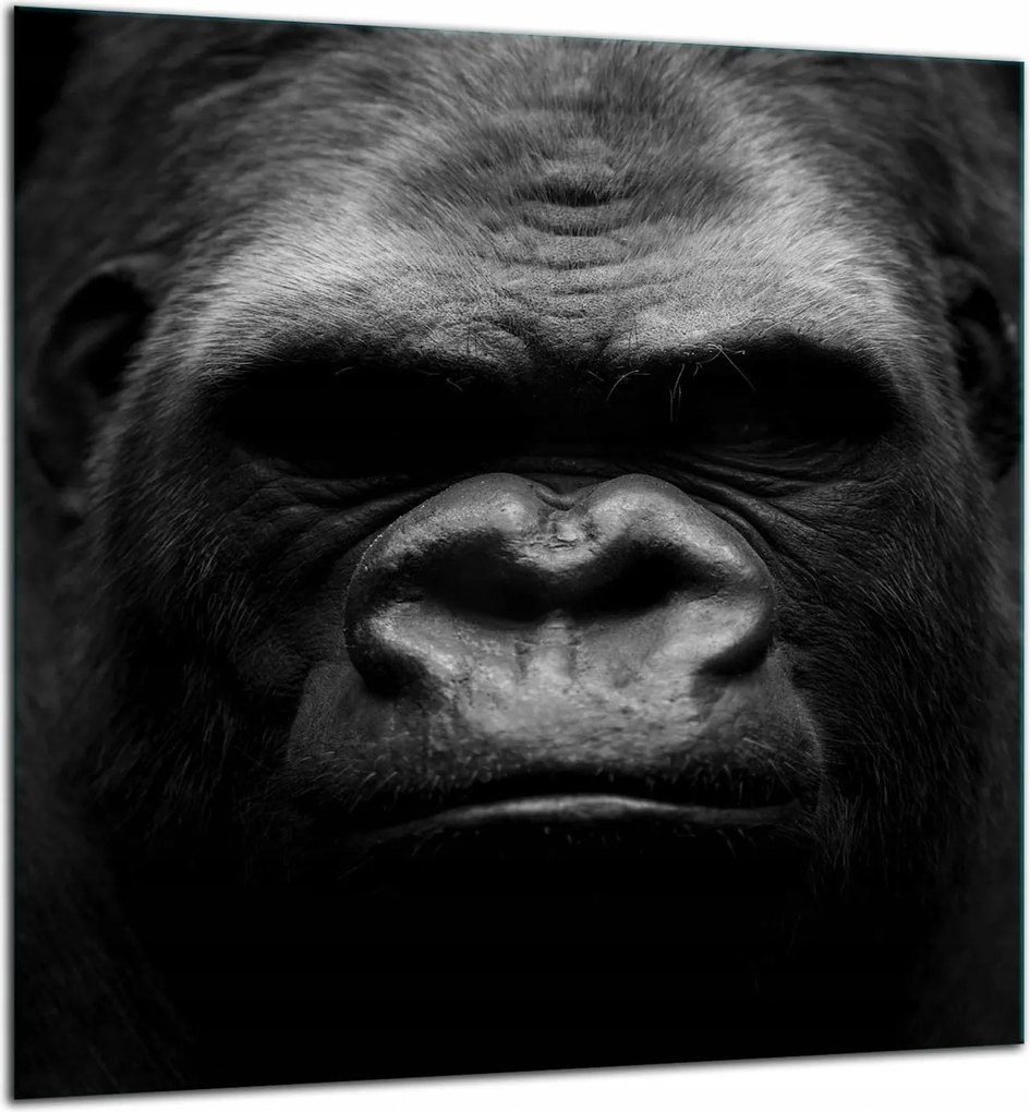 Skleněná Ochranná Deska Panel Lepidlo 60x65 GORYLTvrzené Sklo Kuchyně 7v1