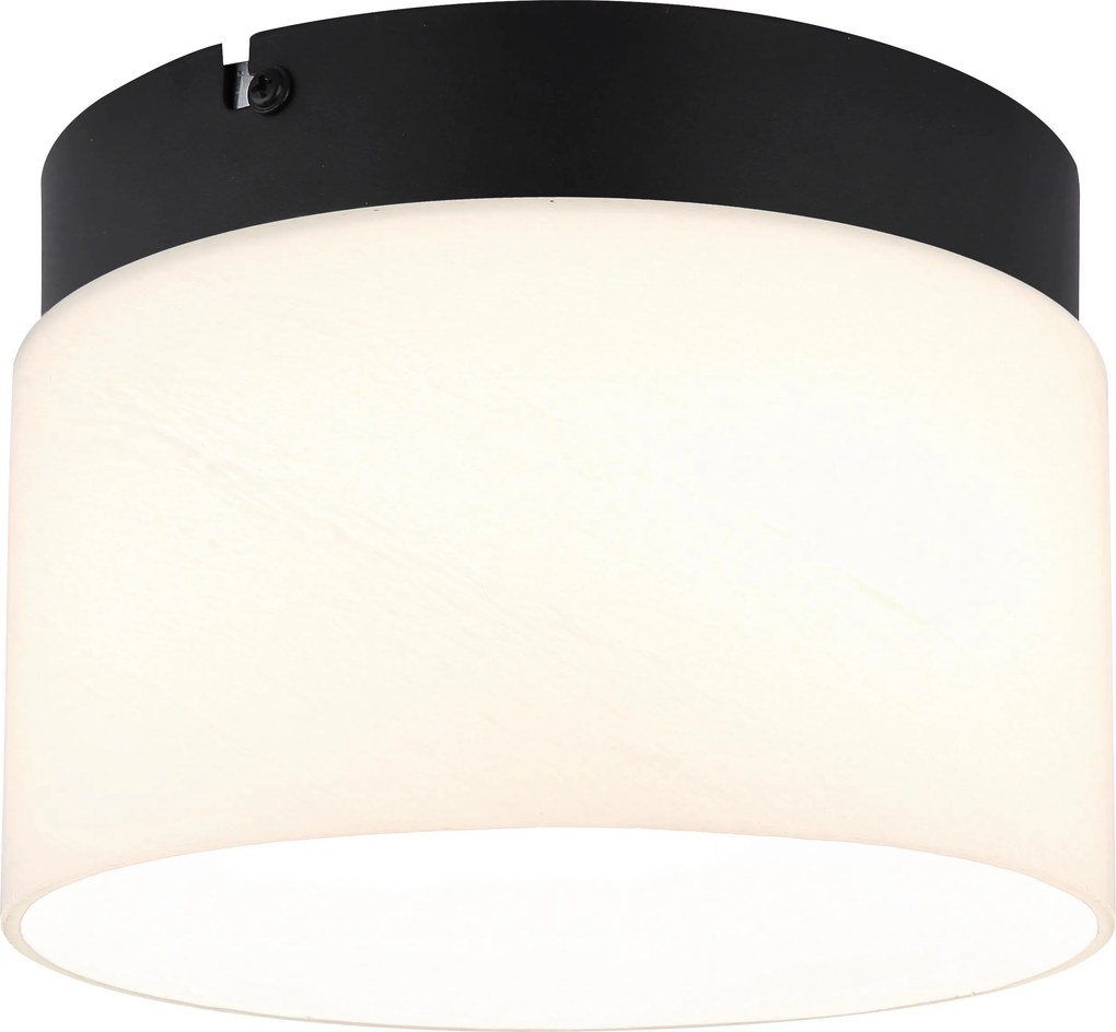 XXXLutz STROPNÍ SVÍTIDLO, 20/14 cm Collett's Monde - Online Only svítidla - 0081811122