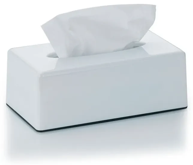 KELA Kosmetický box na kapesníky PANNO plast, bílý KL-22347 | BIANO