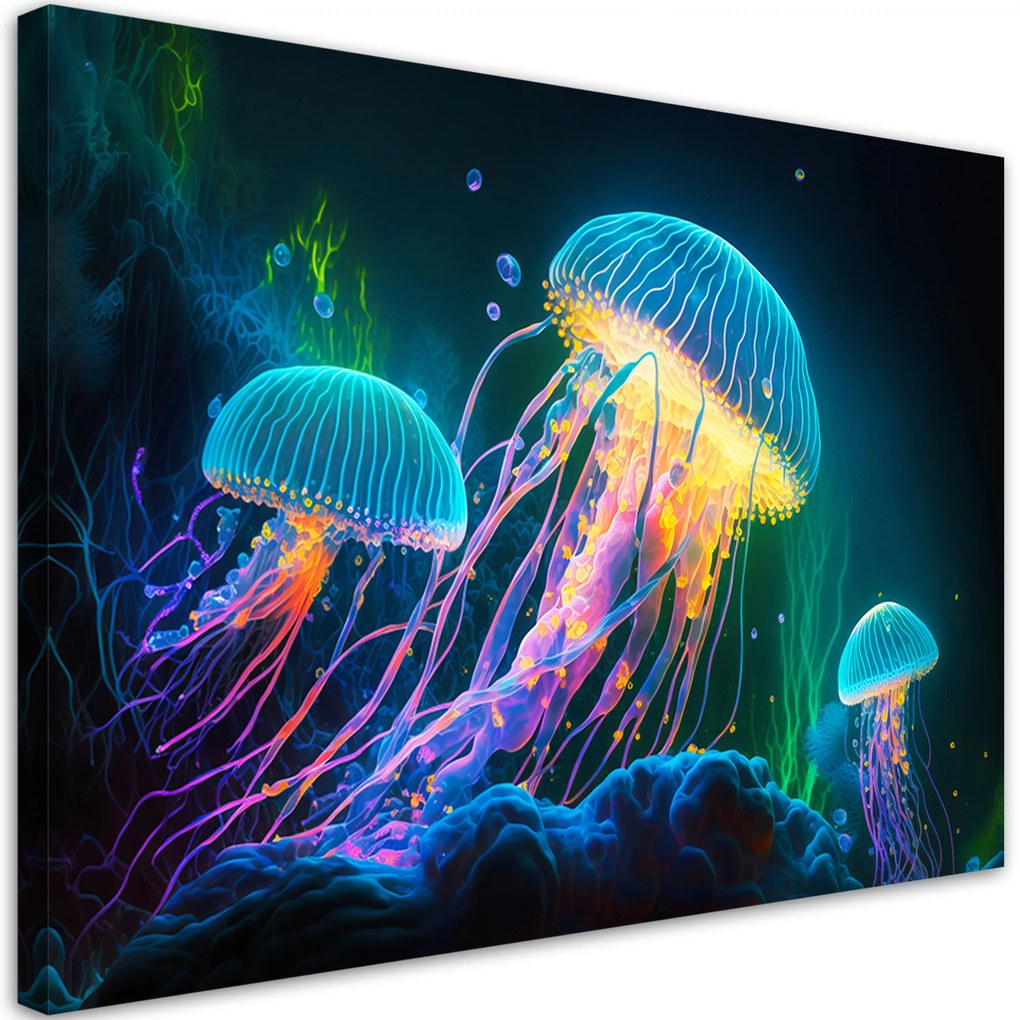 Gario Obraz na plátně Barevné medúzy Rozměry: 60 x 40 cm