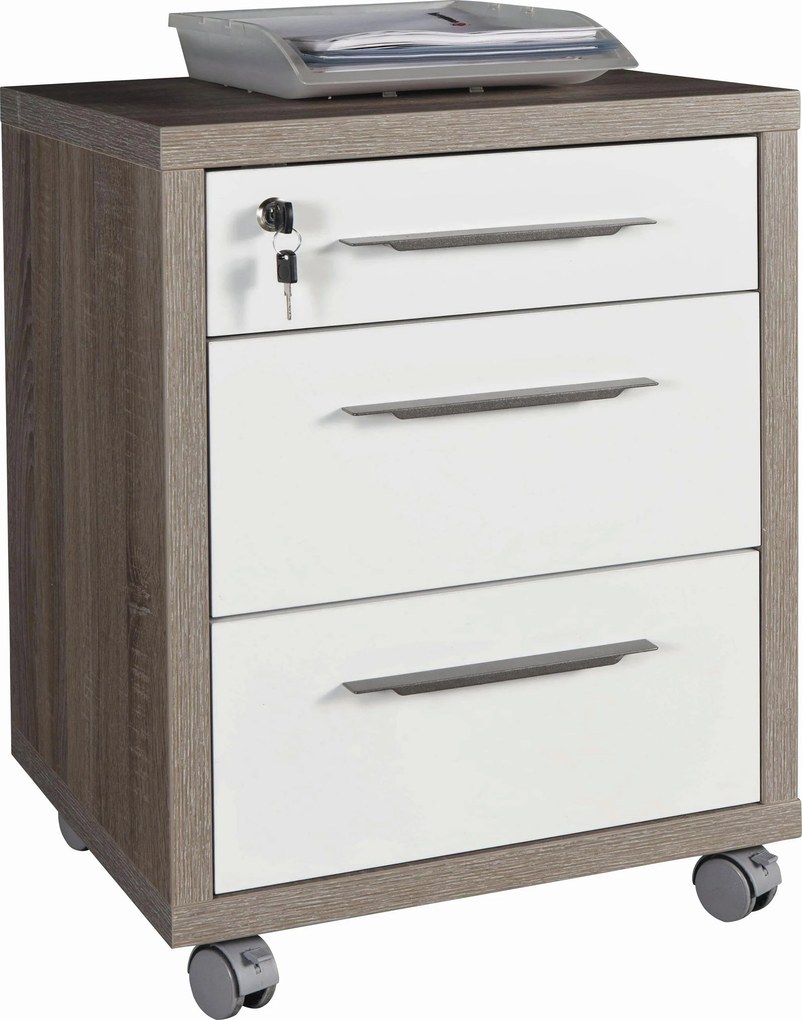 XXXLutz POJÍZDNÝ KONTEJNER, 48/63/45 cm Carryhome - 002593006304