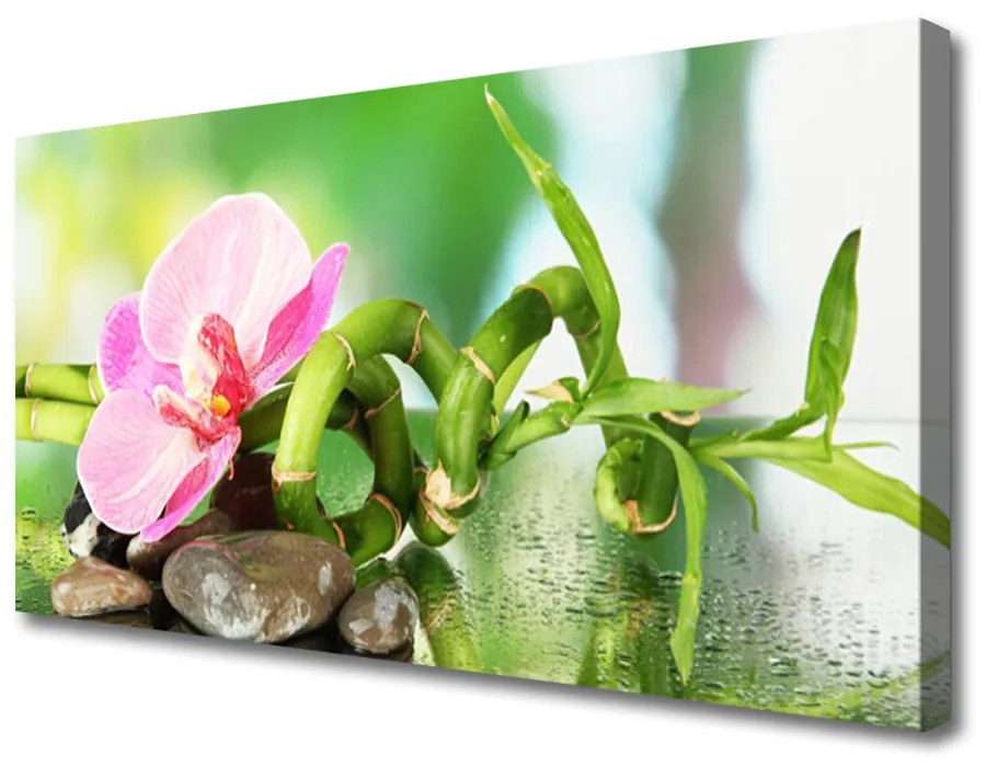 Obraz na plátně Bambus Stonek Rostlina Příroda 120x60 cm