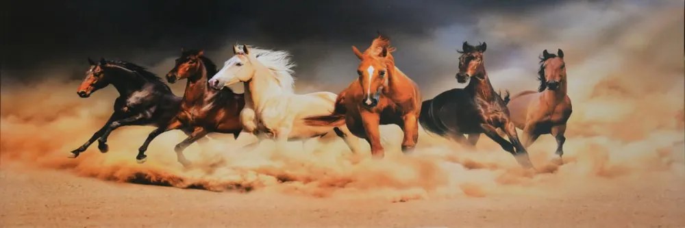 Falc Obraz na plátně - Stádo koní, 50x150 cm