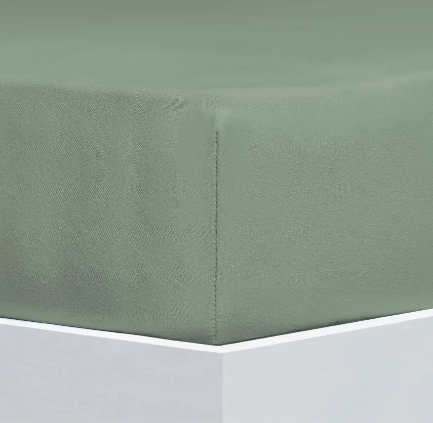 Florella Prostěradlo Avance Jersey 45 Pfau, 140-160x200 cm