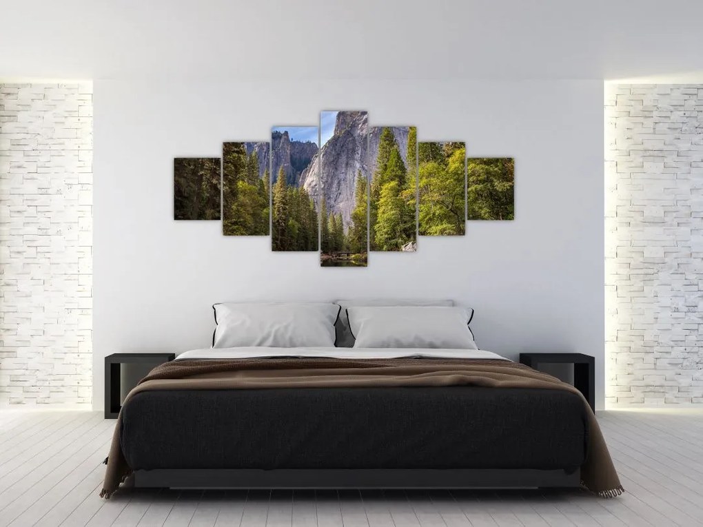 Obraz - Pod Yosemite skálou (210x100 cm)