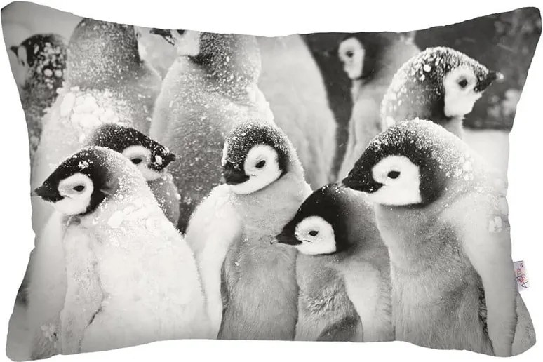 Povlak na polštář Mike & Co. NEW YORK Pinguins, 50 x 31 cm