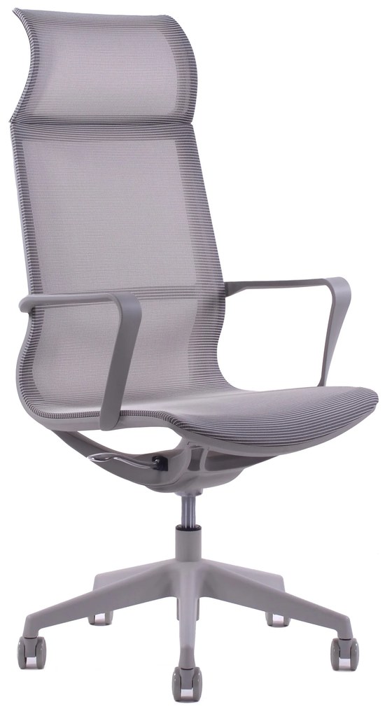 Sego Kancelářská židle Sky Barva: šedá