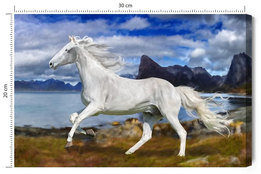 Obraz Kůň Ve Cvalu Nedostatek Nedostatek Plátno Canvas 30x20