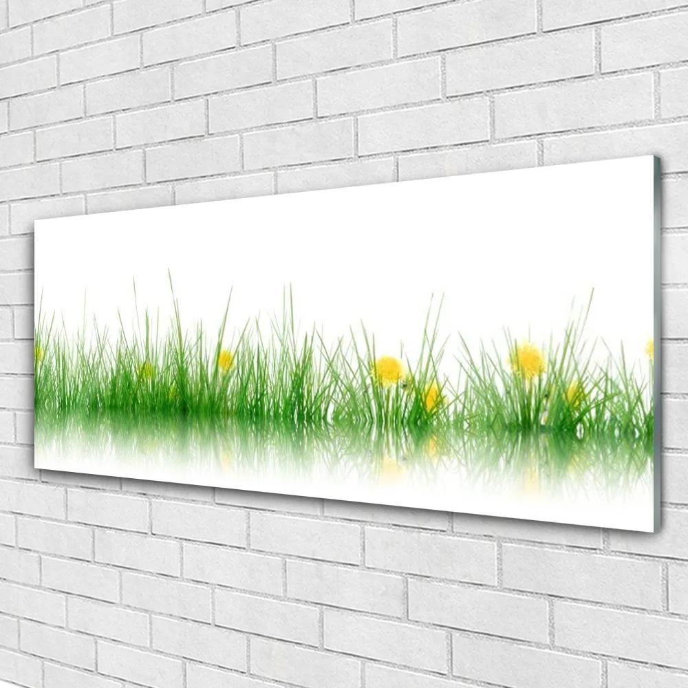 Plexisklo-obraz Příroda Tráva Květiny 125x50 cm