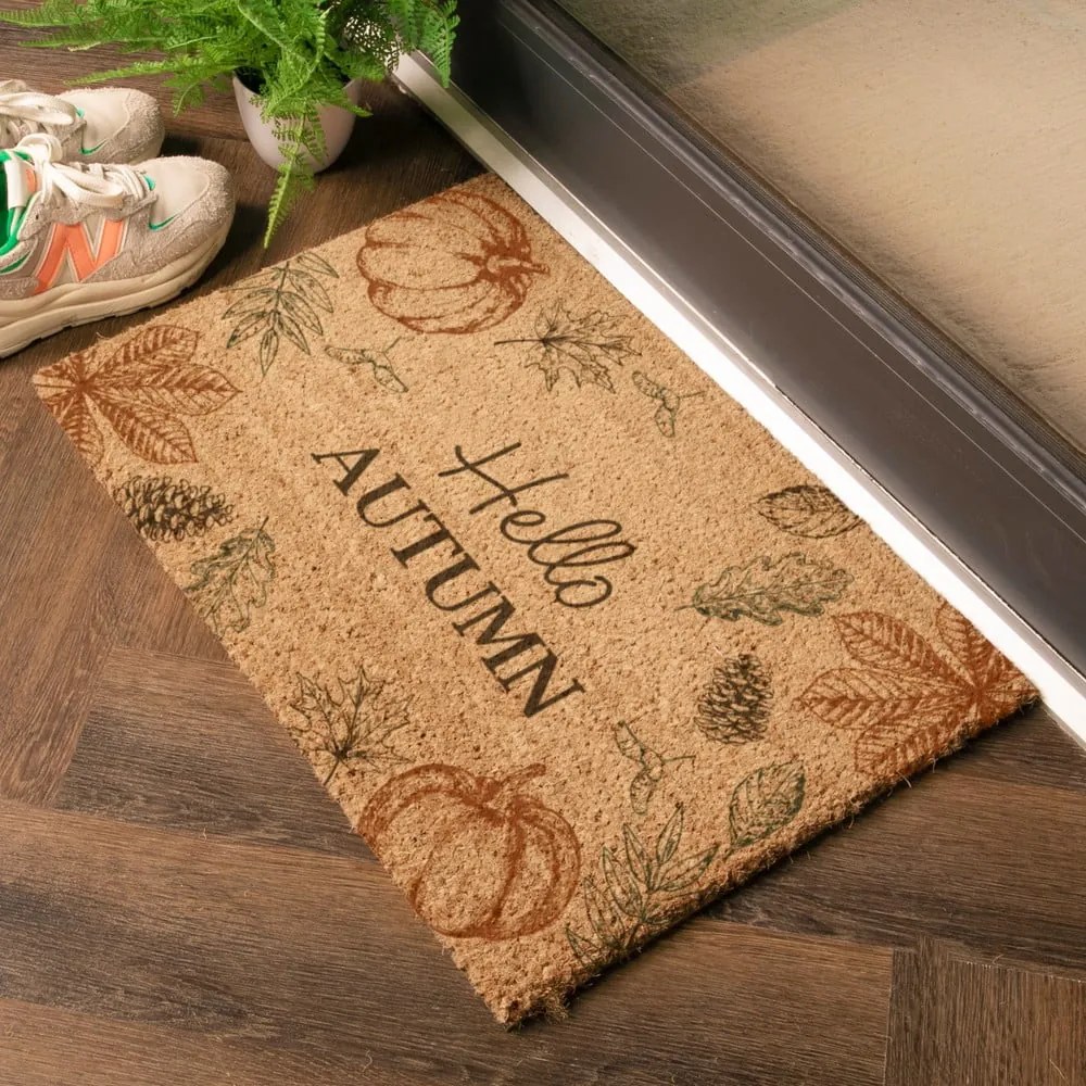 Rohožka z kokosového vlákna 40x60 cm Hello Autumn – Artsy Doormats