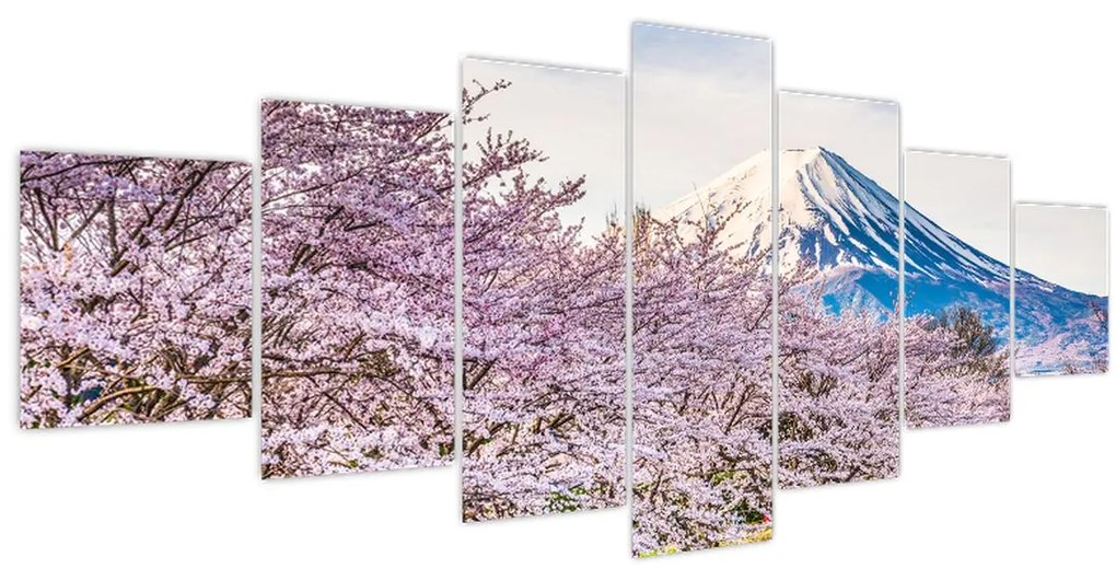 Obraz - Japonsko na jaře (210x100 cm)