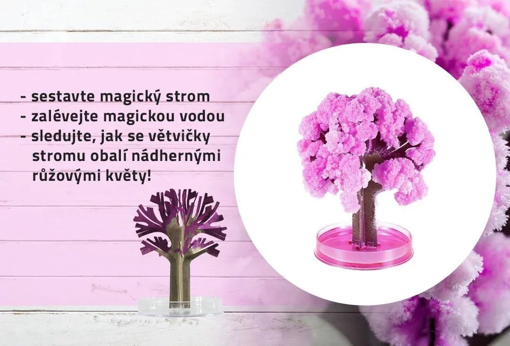 Zaparkorun Magický strom Sakura - Výhodný set 1+1
