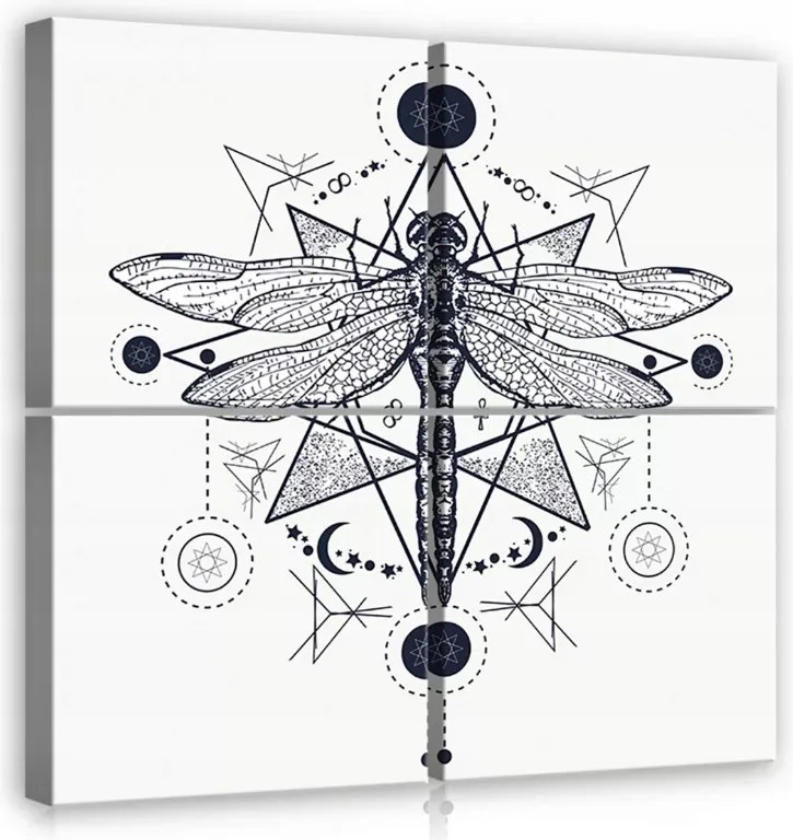 Obraz 50x50 Vážka geometrie symboly duchovnost minimalismus abstrakce grafika