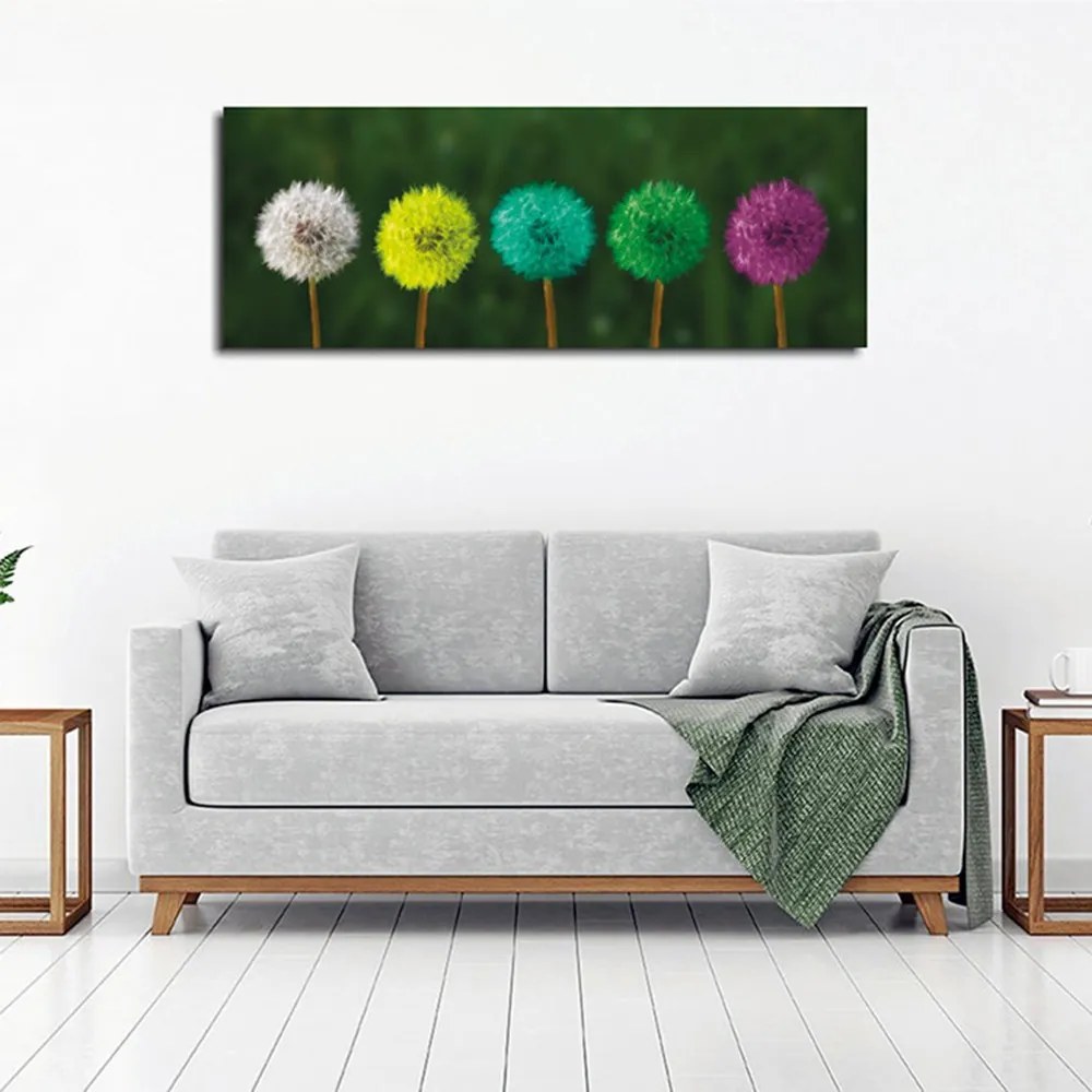 Obraz na plátně Dandelions PC93 30x80 cm