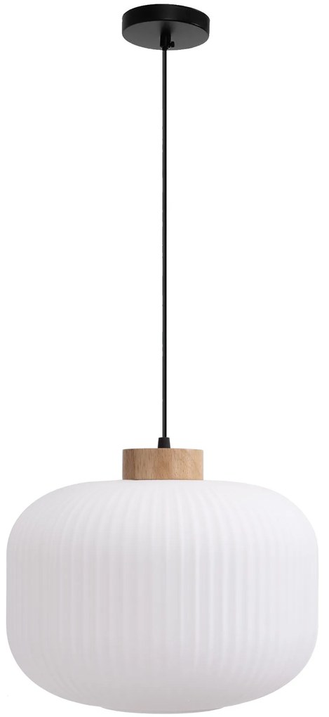 Toolight, stropní svítidlo ze skla 1xE27, bílá, OSW-04412