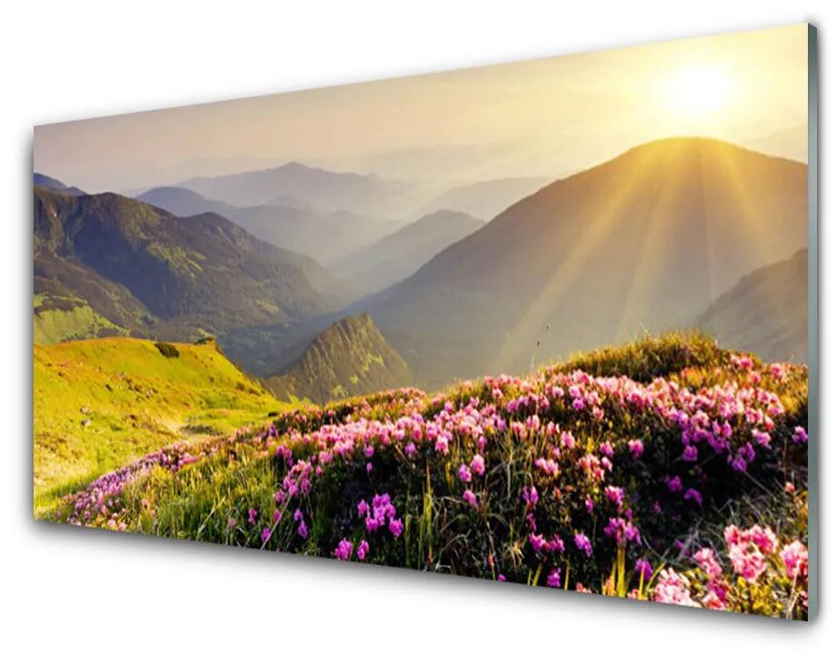 Obraz na skle Hora Louka Krajina 125x50 cm