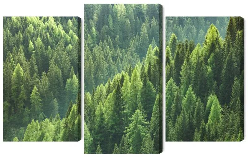 Vícedílný obraz Zelení Lesa Nedostatek Nedostatek Přírodní plátno 180x120