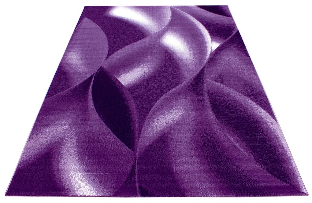 Ayyildiz koberce Kusový koberec Plus 8008 lila ROZMĚR: 120x170