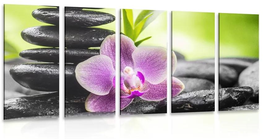 5-dílný obraz tropická Zen kompozice Varianta: 100x50