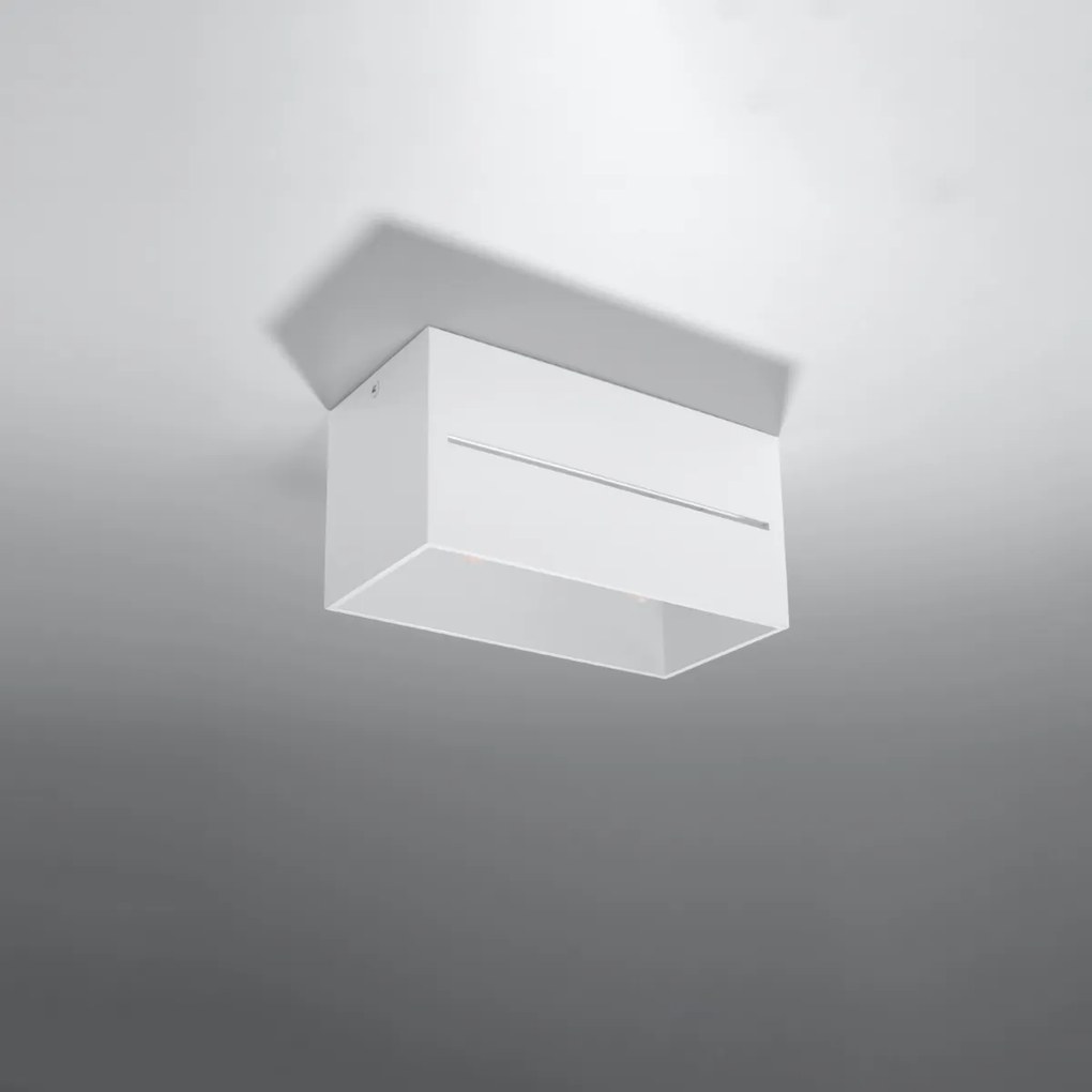 Sollux Lighting Stropní svítidlo LOBO 2 bílé
