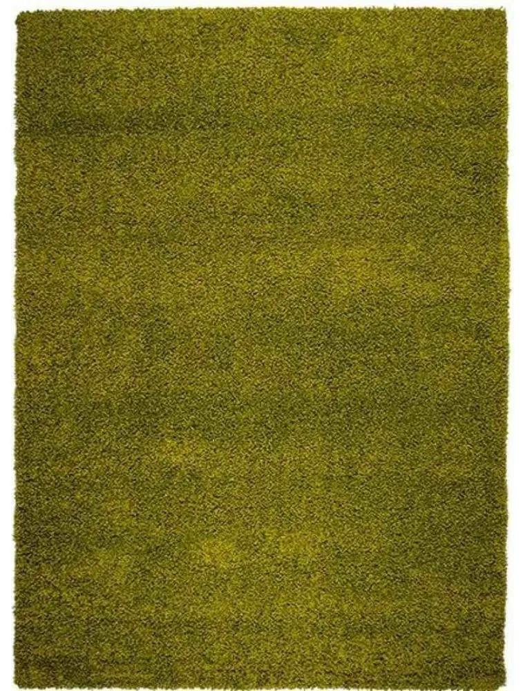 Kusový koberec Shaggy Loca Faustino zelený, Velikosti 160x220cm
