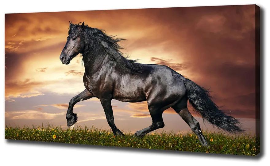 Wallmuralia Foto obraz na plátně do obýváku Klusající kůň 140x70 cm