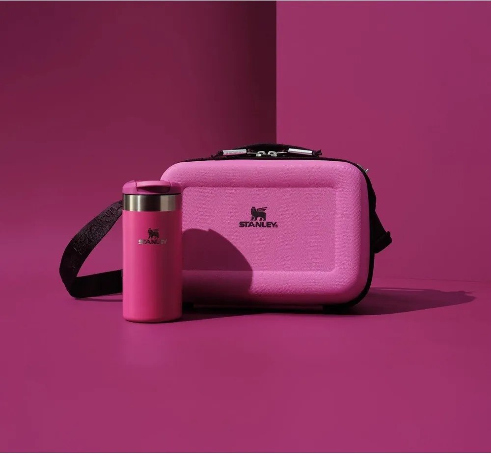Svačinový box All Day Arista Mini Lunch Box Dew Drop – Stanley