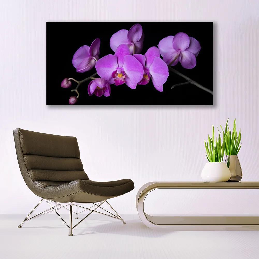Plexisklo-obraz Vstavač Orchidej Květiny 120x60 cm