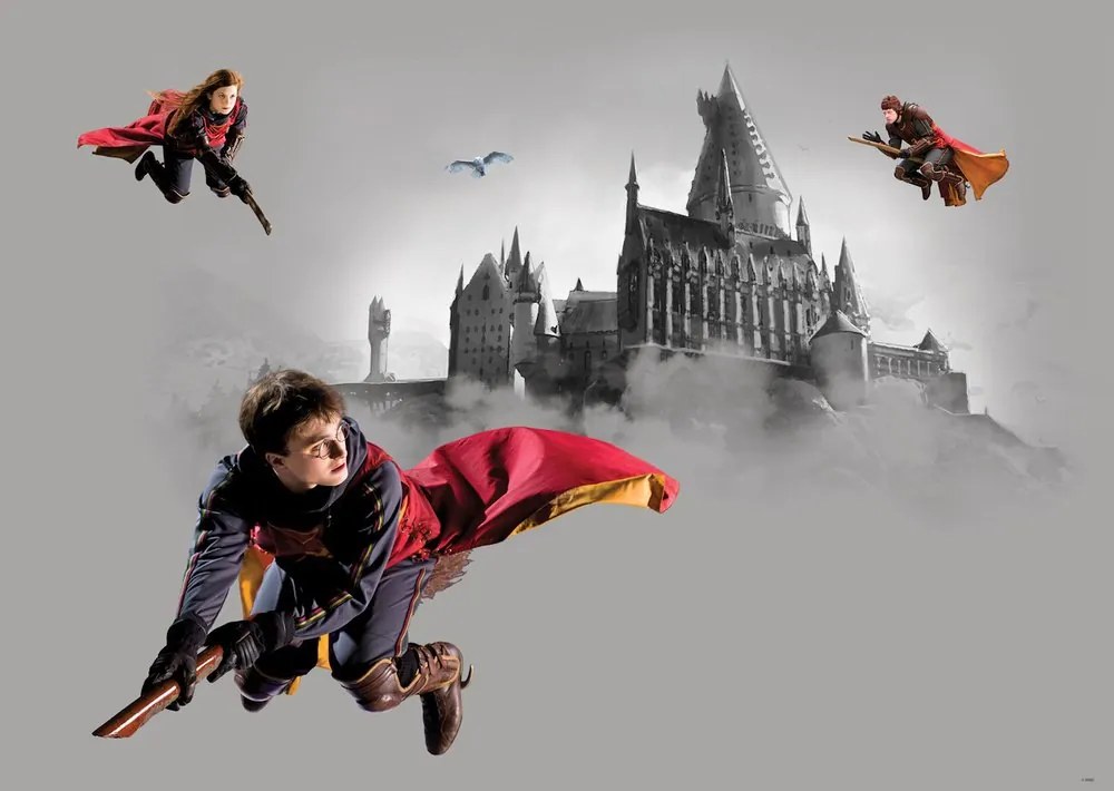 AG Design vliesová fototapeta FTDM5293 Harry Potter 155 x 110 cm