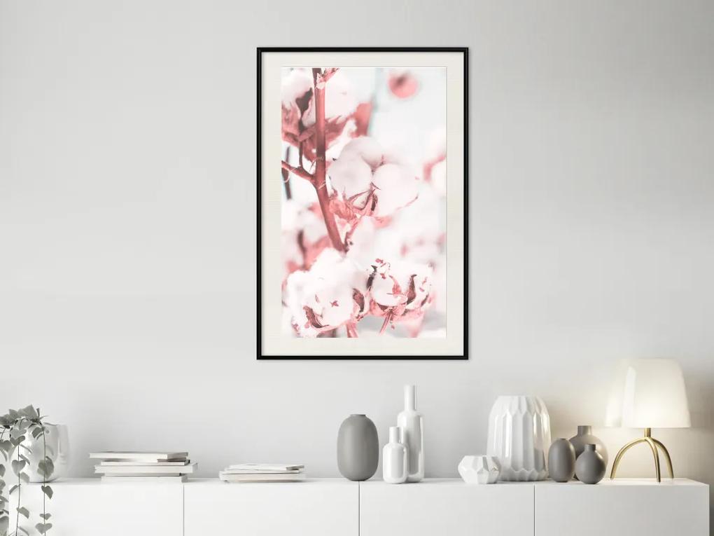 Plakát Bavlna v rozkvetu - jemné květiny bavlny ve zimním světle