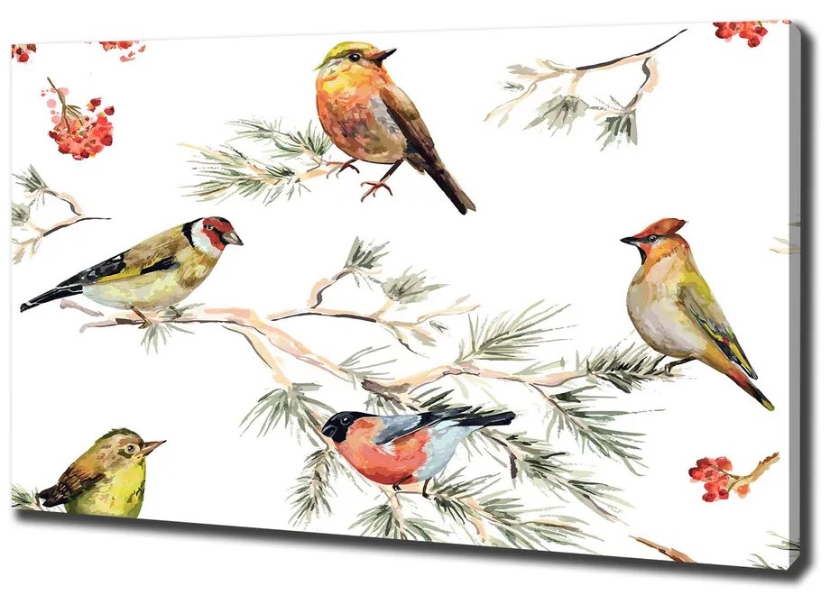 Wallmuralia Foto obraz na plátně Lesní ptáci rostliny 100x70 cm