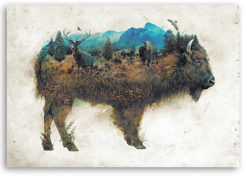 Gario Obraz na plátně Zubři a mýtina - Barrett Biggers Rozměry: 60 x 40 cm