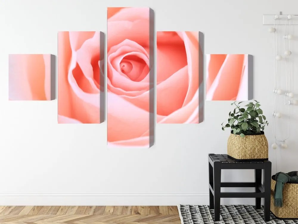 Vícedílný obraz Pastelová Růže Na 3D Makro Měřítku Nedostatek Nedostatek Přírodní plátno 250x150