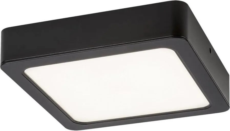 Rabalux 2691 - LED Stropní svítidlo SHAUN LED/24W/230V 22 cm