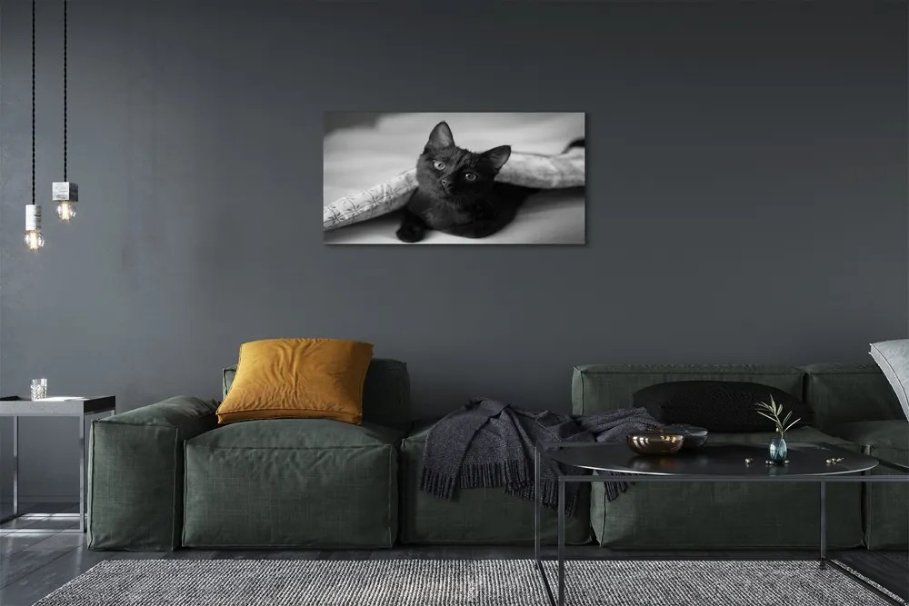 Obrazy na plátně Kočka pod přikrývkou 100x50 cm