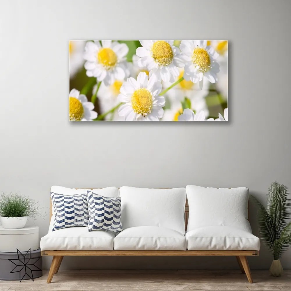 Obraz na skle Květiny Sedmikráska Příroda 120x60 cm