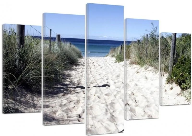 CARO Obraz na plátně - Path Through The Dunes 150x100 cm